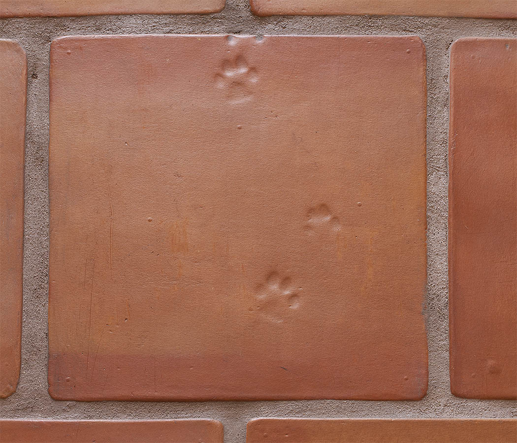 Faux Paws Ken Martens
